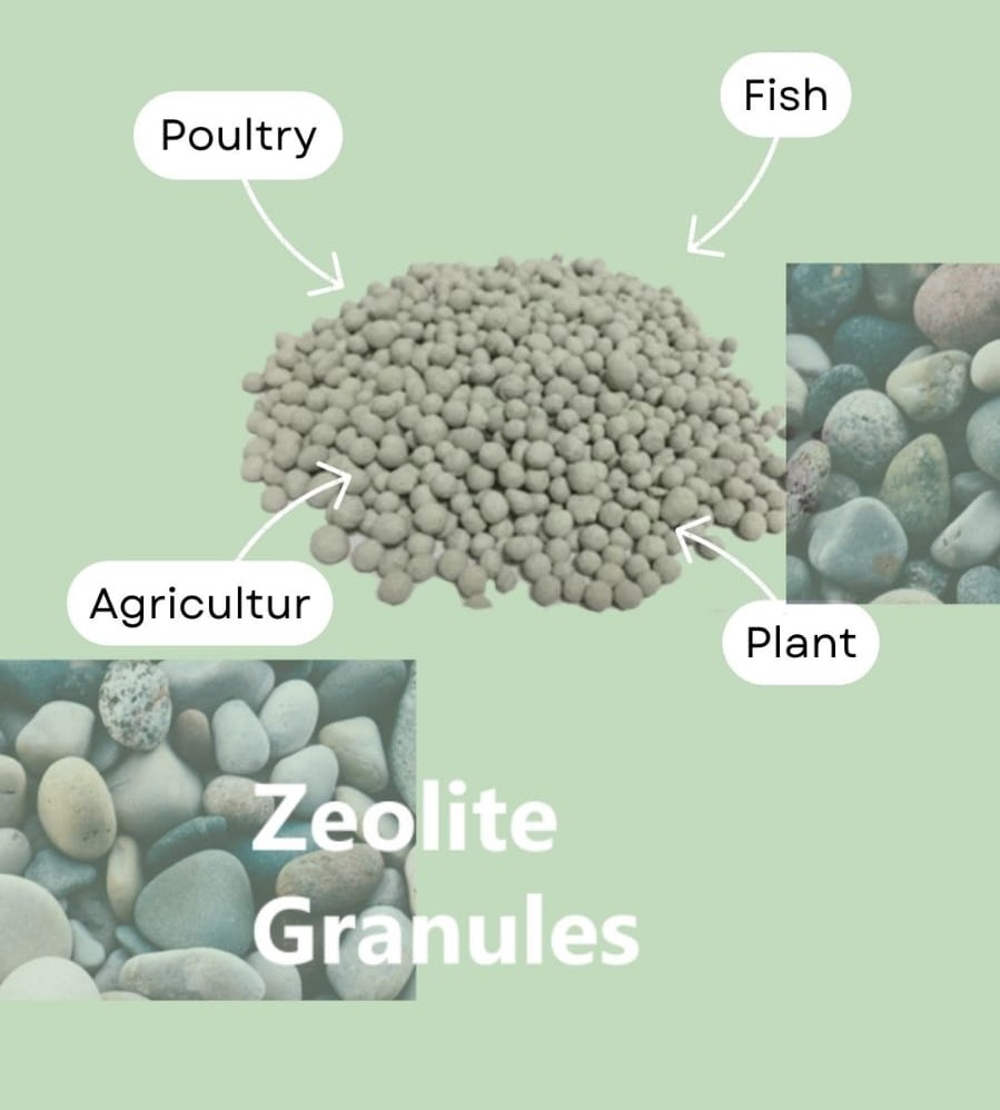 Our Products - Indonesian Best Natural Zeolite Producer